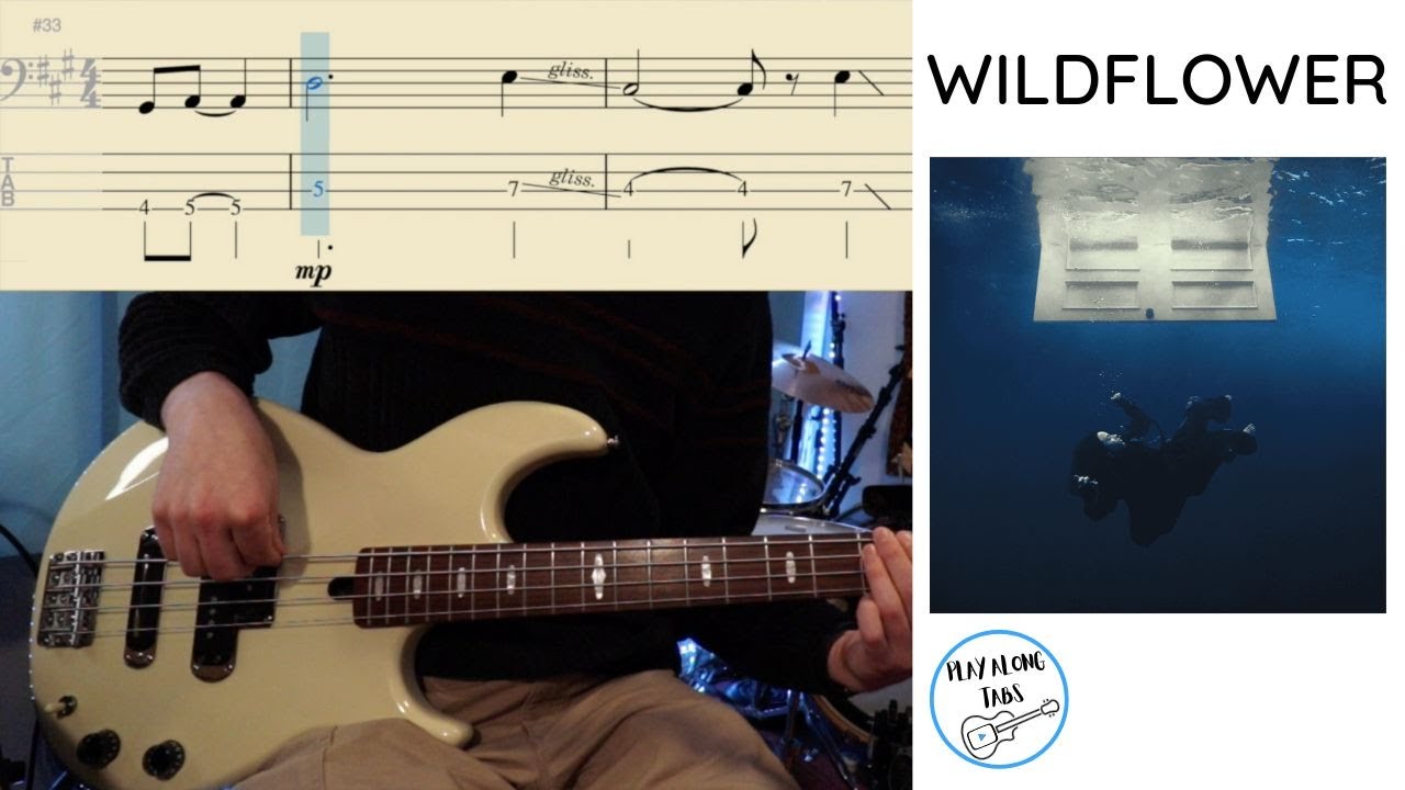 Billie Eilish: WILDFLOWER - Bass Cover with Bass Tabs Chords - Chordify