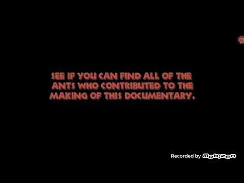 Ant Bully Hova meet Lucas Soundtrack