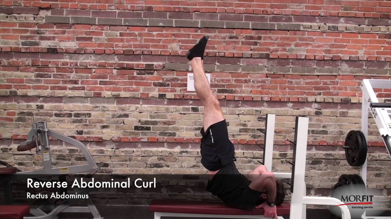 Reverse Ab Curl - YouTube