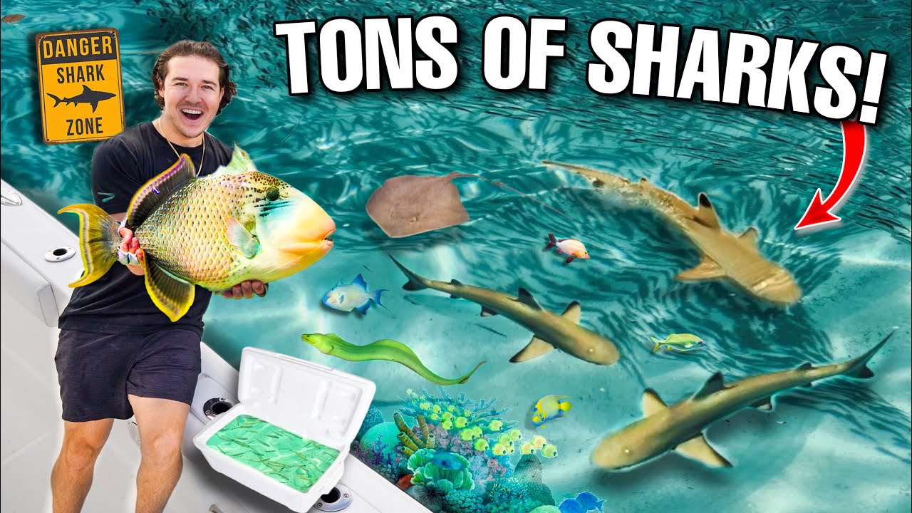 Catching EXOTIC SEA MONSTER For My SALTWATER POND *SHARKS!!!* - YouTube