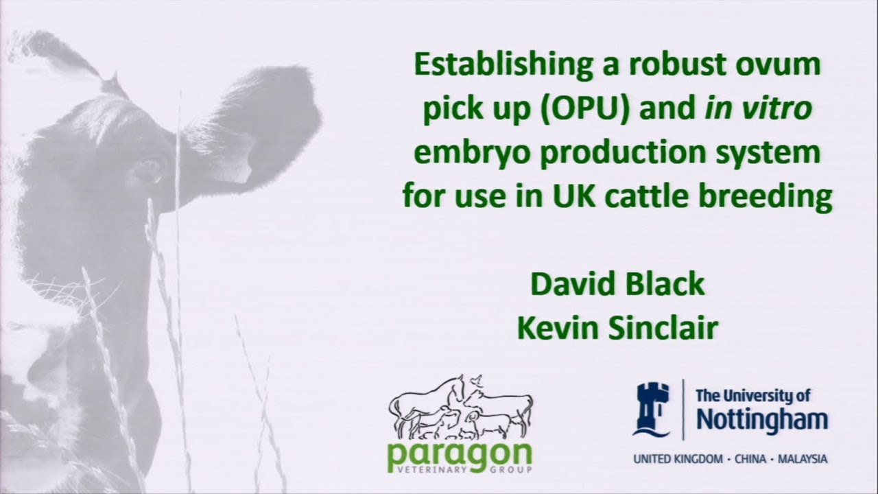 Establishing a robust ovum pick up (OPU) and in vitro embryo production ...