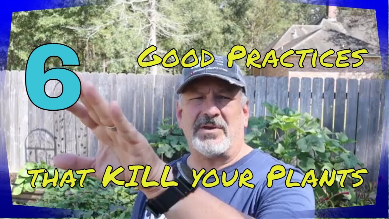 6 "Good" Garden Practices That Kill Vegetable Garden Plants - YouTube
