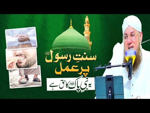 Sunnat-e-Rasool Par Amal | Nabi Pak Ka Haq | Abdul Habib Attari Bayan ...