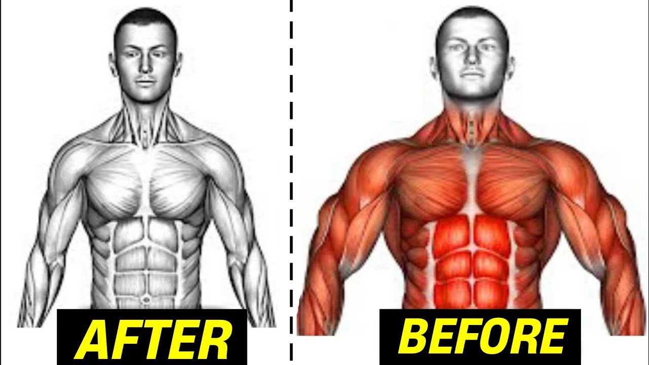 8 Full Body Hiit Cardio Workout Home || Fitness In Home - YouTube