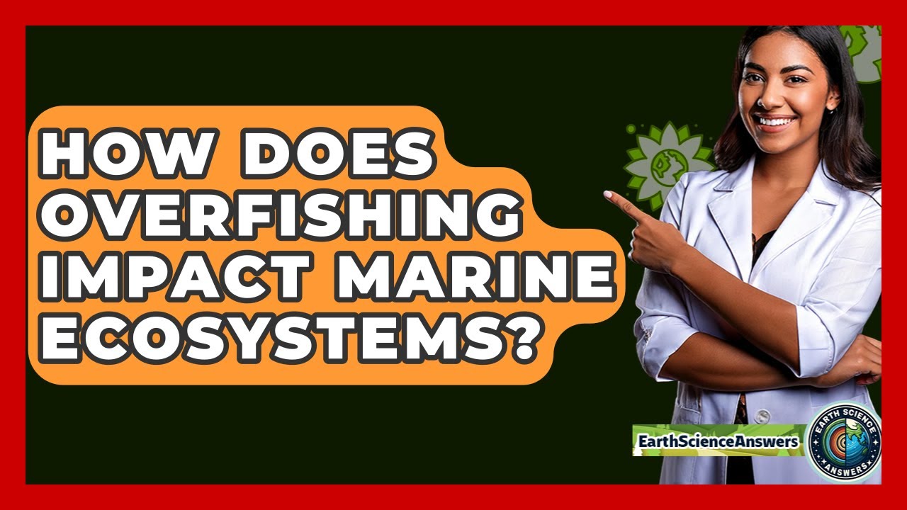 How Does Overfishing Impact Marine Ecosystems? - Earth Science Answers ...