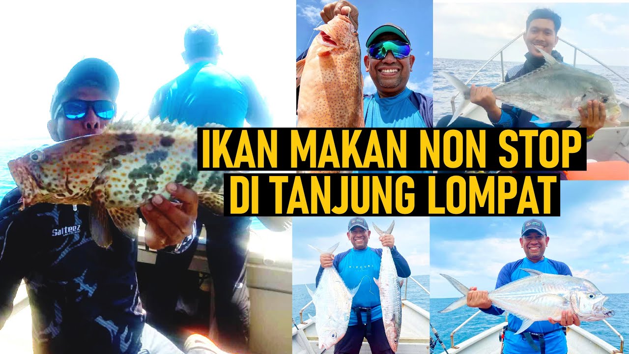 IKAN MAKAN NON STOP DI TANJUNG LOMPAT | KERAPU, EBEK,TENGGIRI, REMONG ...