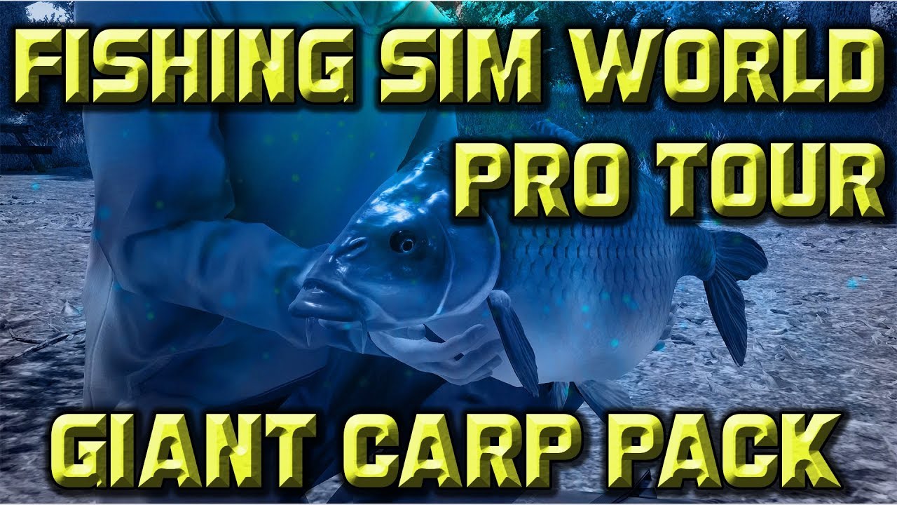 FISHING SIM WORLD - FIRST BOSS FISH FROM THE GIANT CARP PACK - YouTube