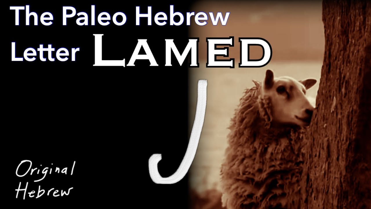 12. Lamed | Paleo Hebrew Alphabet | THE LORD is My Shepherd, a New ...