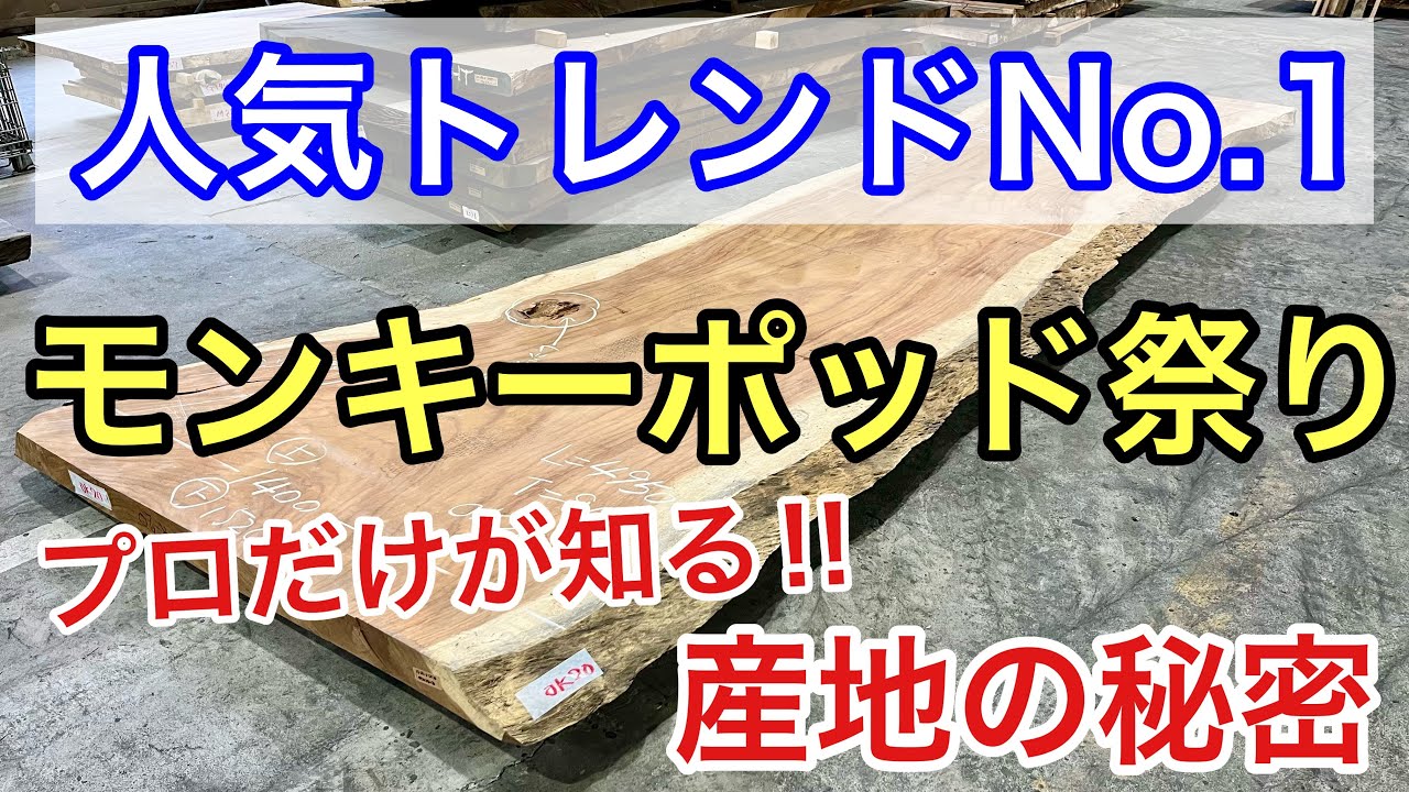 【プロだけが知る】モンキーポッドの産地やその秘密とは？Rain Tree Monkey Pod - YouTube