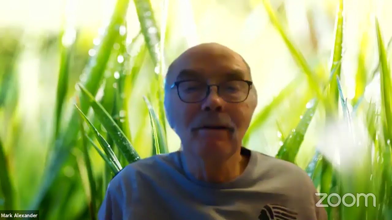 Paul McIsaac Live Stream - YouTube