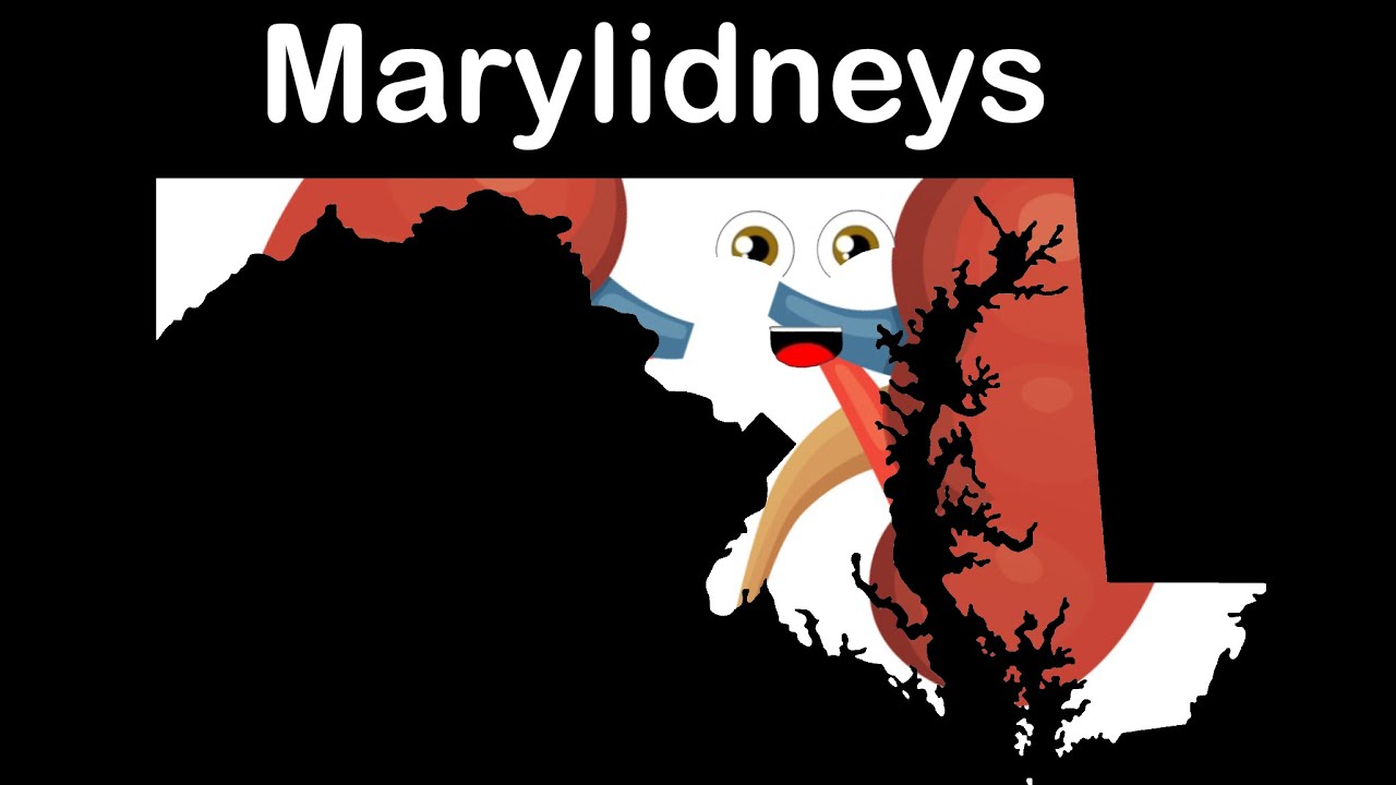 KLT Maryland but with Kidneys instrumental (for @othermetal ) - YouTube