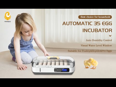 2022 New Listed Digital 35 Egg Incubator - YouTube