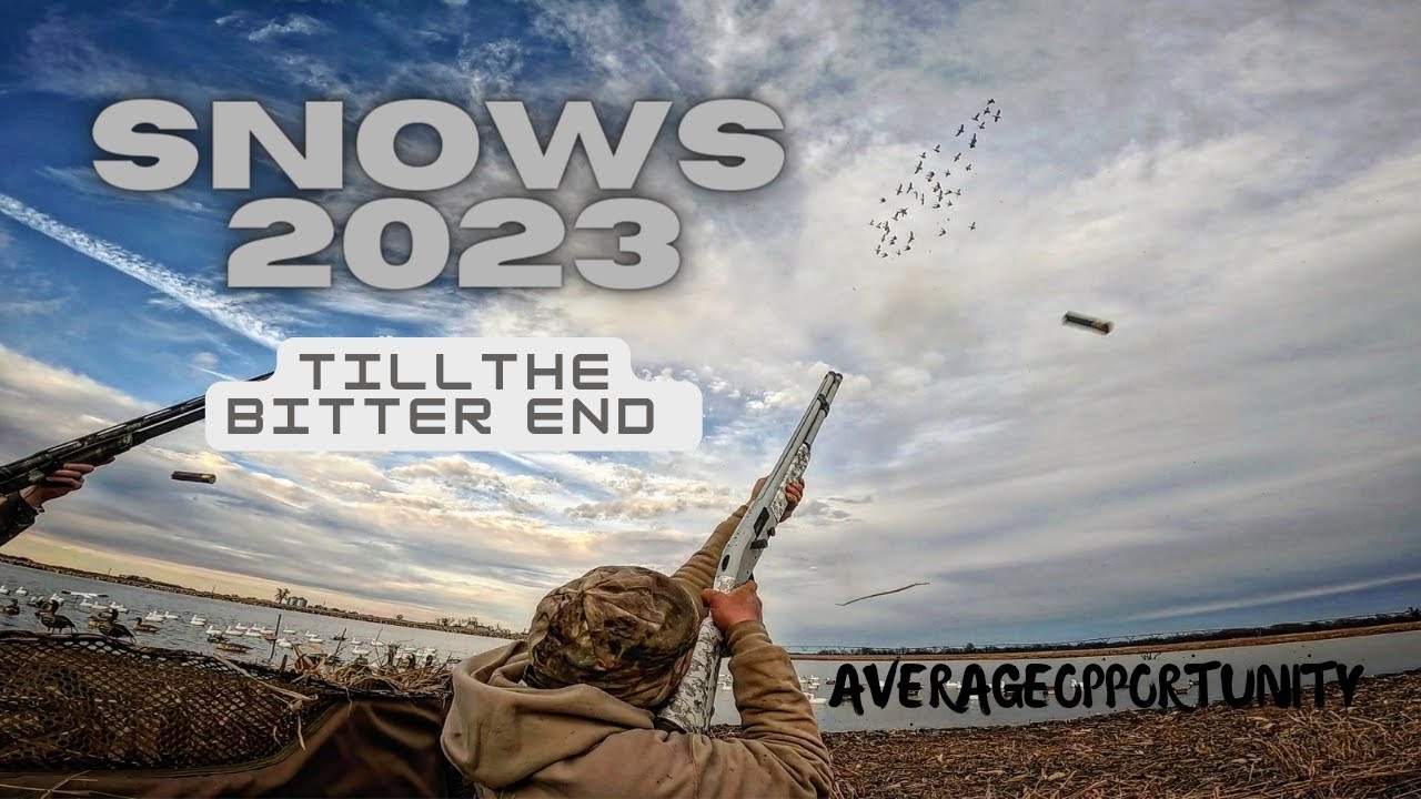 Hunting Snow Geese. Wind DESTROYED the Blind!! - YouTube