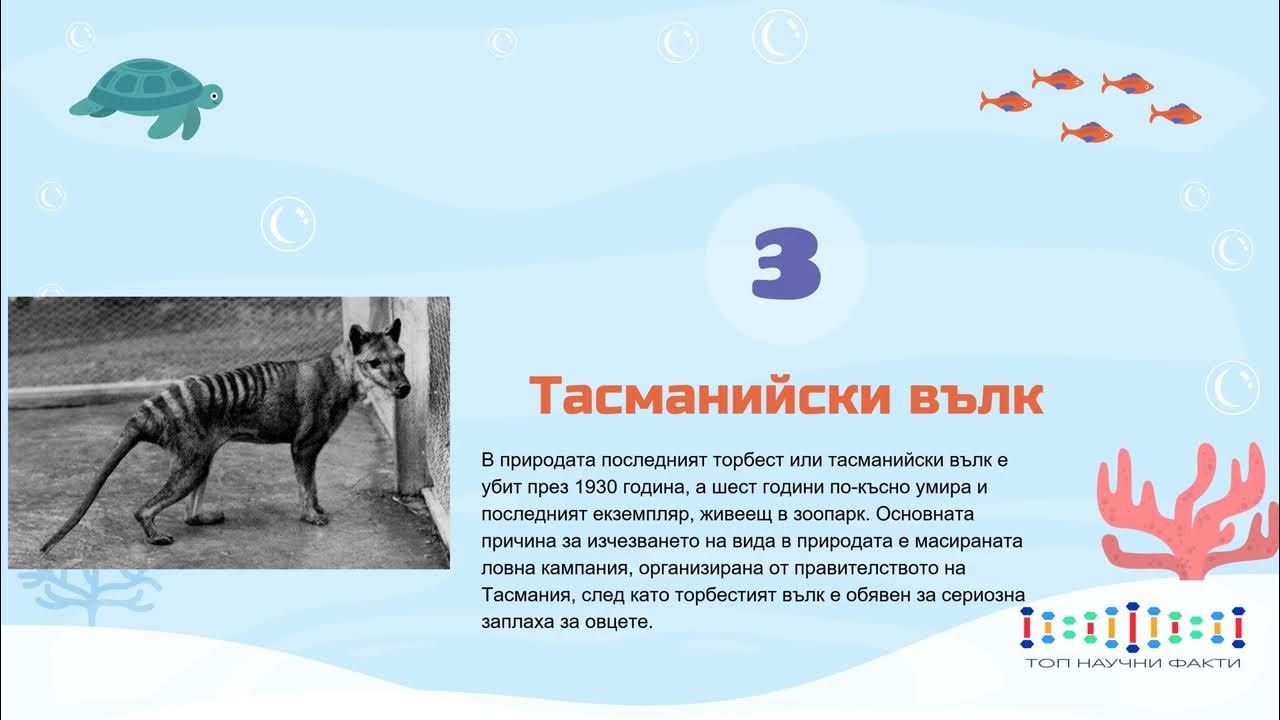 ТОП 10 Изчезнали животни през Xx век Youtube