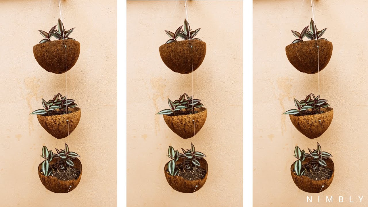 HOW TO MAKE HANGING PLANTER FROM COCONUT SHELL - YouTube