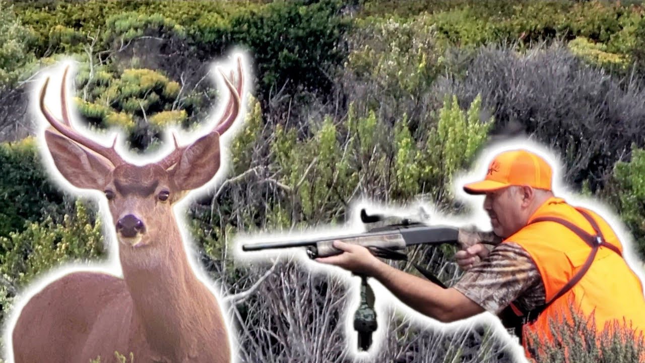 HAIL MARY Last Chance To Find A Buck Deer Hunting 2022 Season! - YouTube