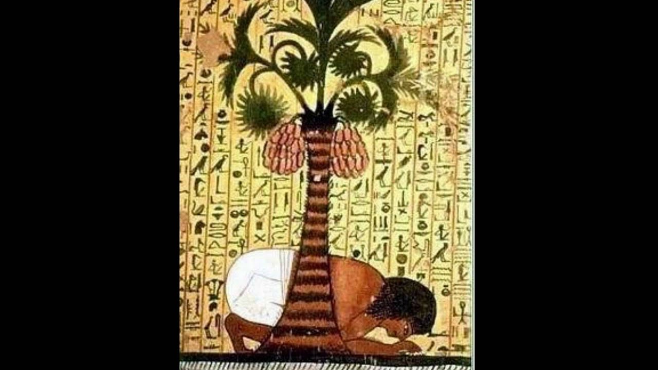 Ancient Egypt.Islam - YouTube