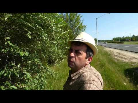 Idris Usta USA 76 Bolum Iseme Molasi