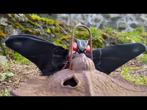 Mothman Animation - YouTube