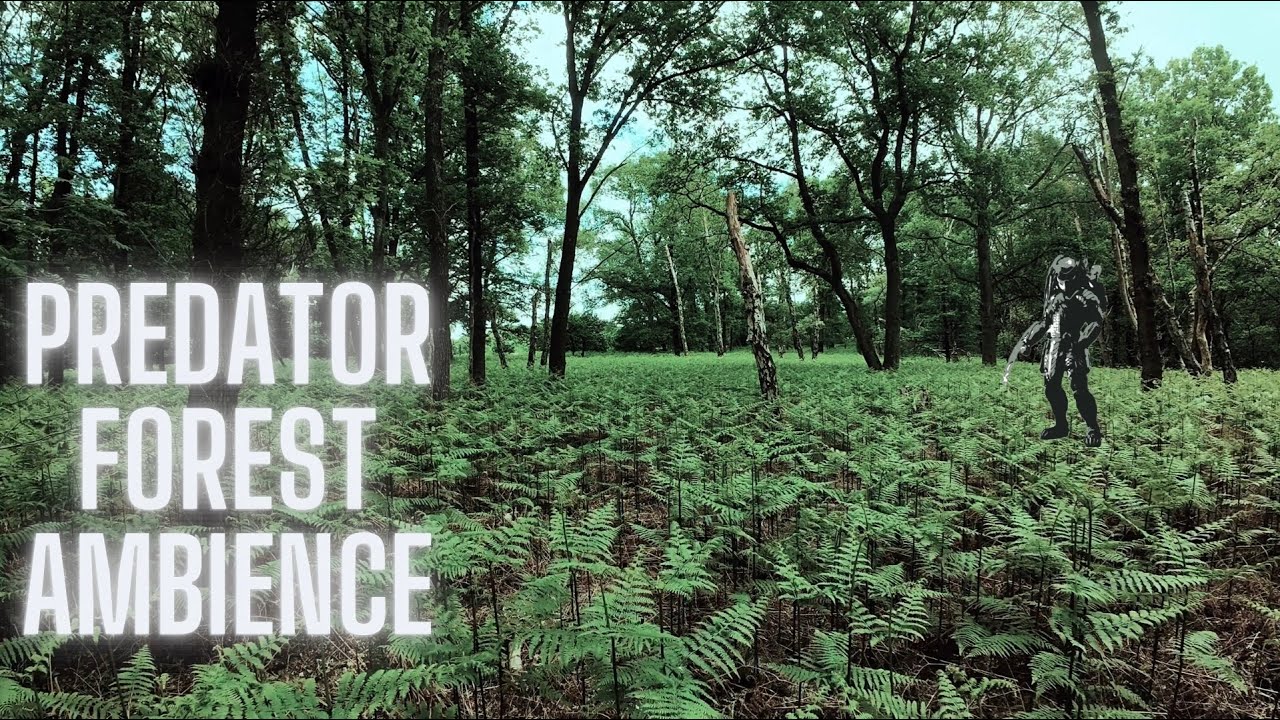 FPV Flight DJI Avata 2 - Predator Forest Ambience Movie Jungle ...