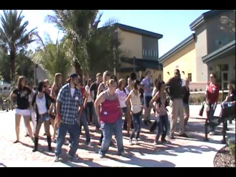 PHCC Spring Hill Campus Psych Project - YouTube