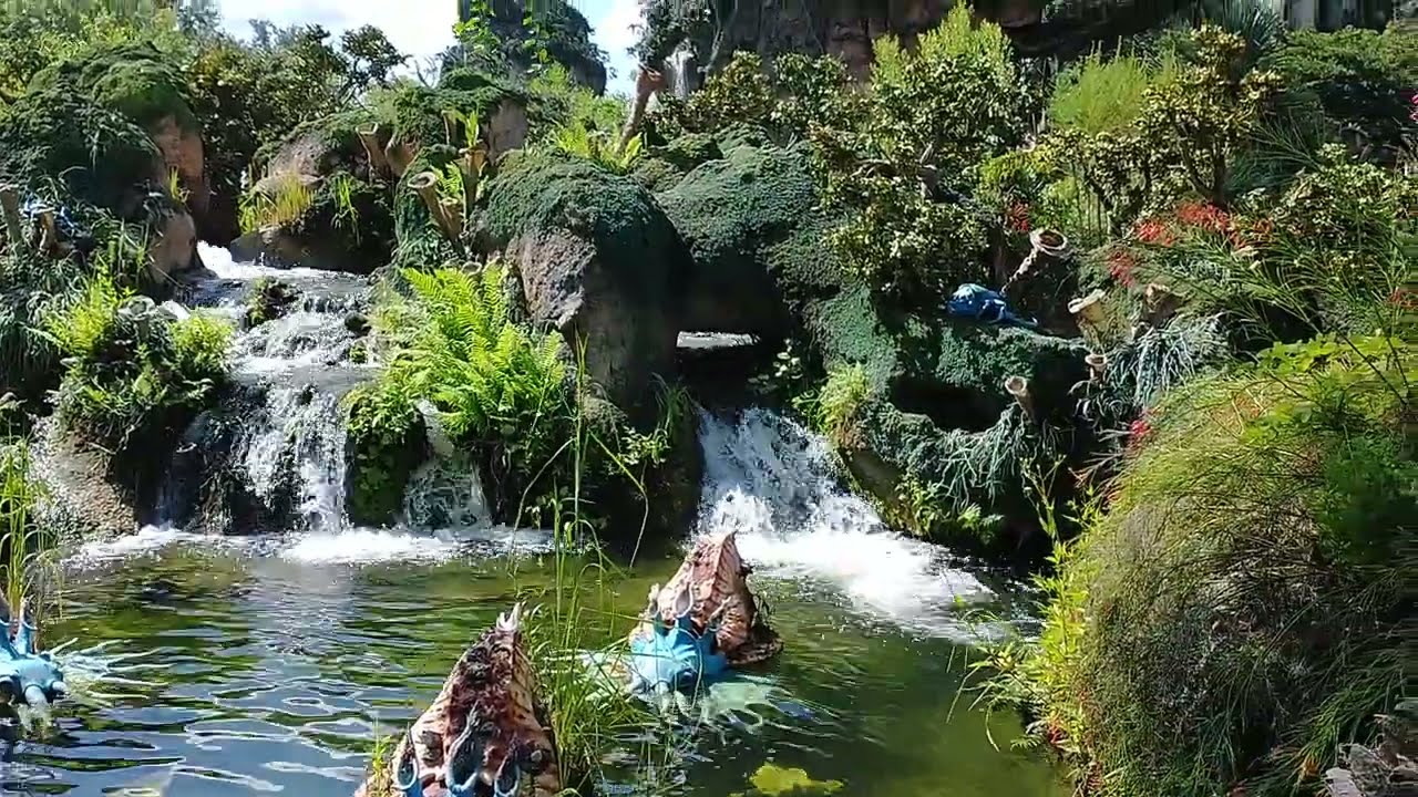 Waterfalls at Pandora, Avatar, Animal Kingdom. - YouTube