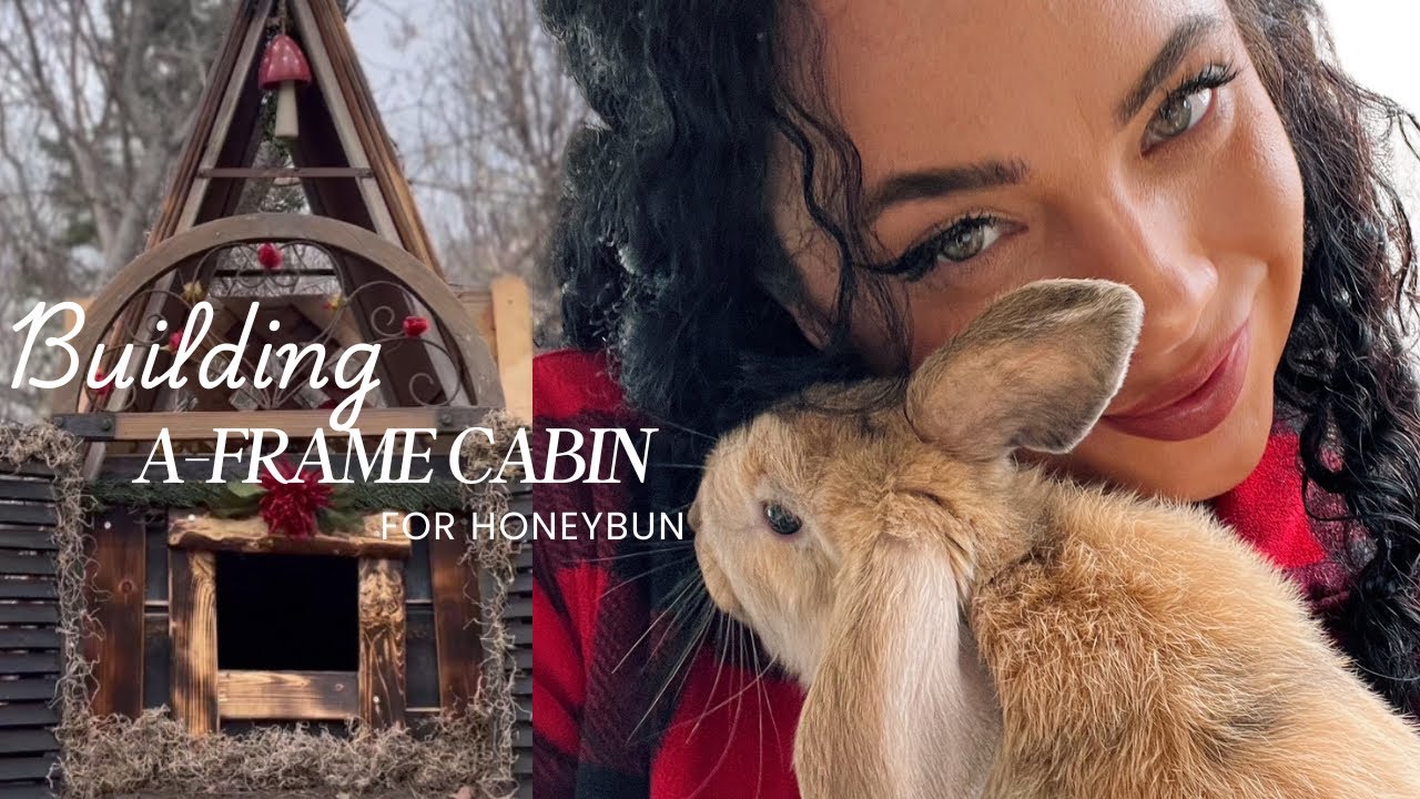 I Built My Bunny A-Frame Cabin in the Garden… and Now I Want to Move In ...