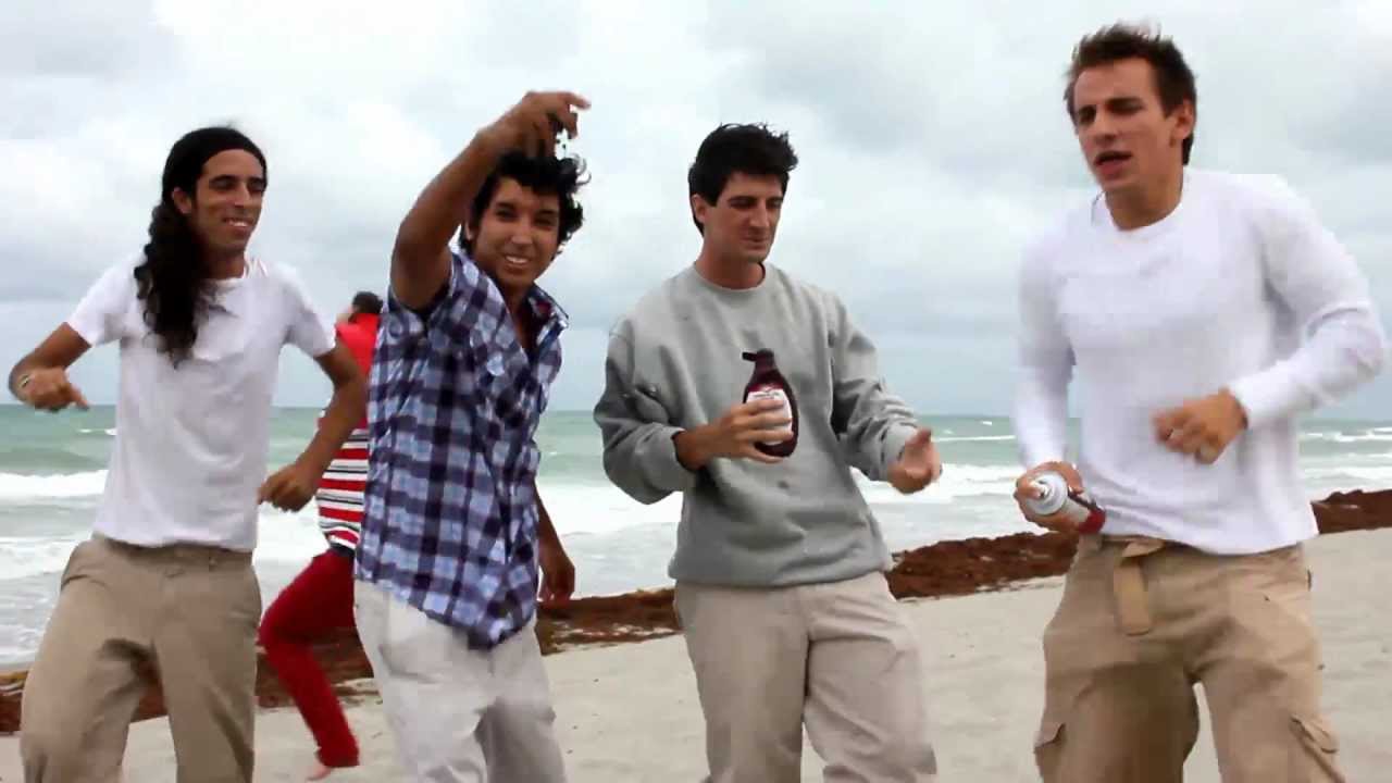 One Direction - What makes you beautiful - PARODY - YouTube