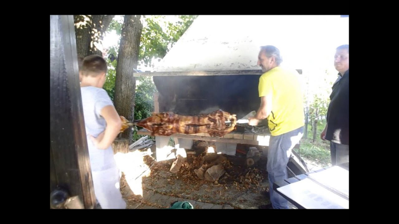 Svi pjevaju, ja ne čujem (odojek-edition) - YouTube