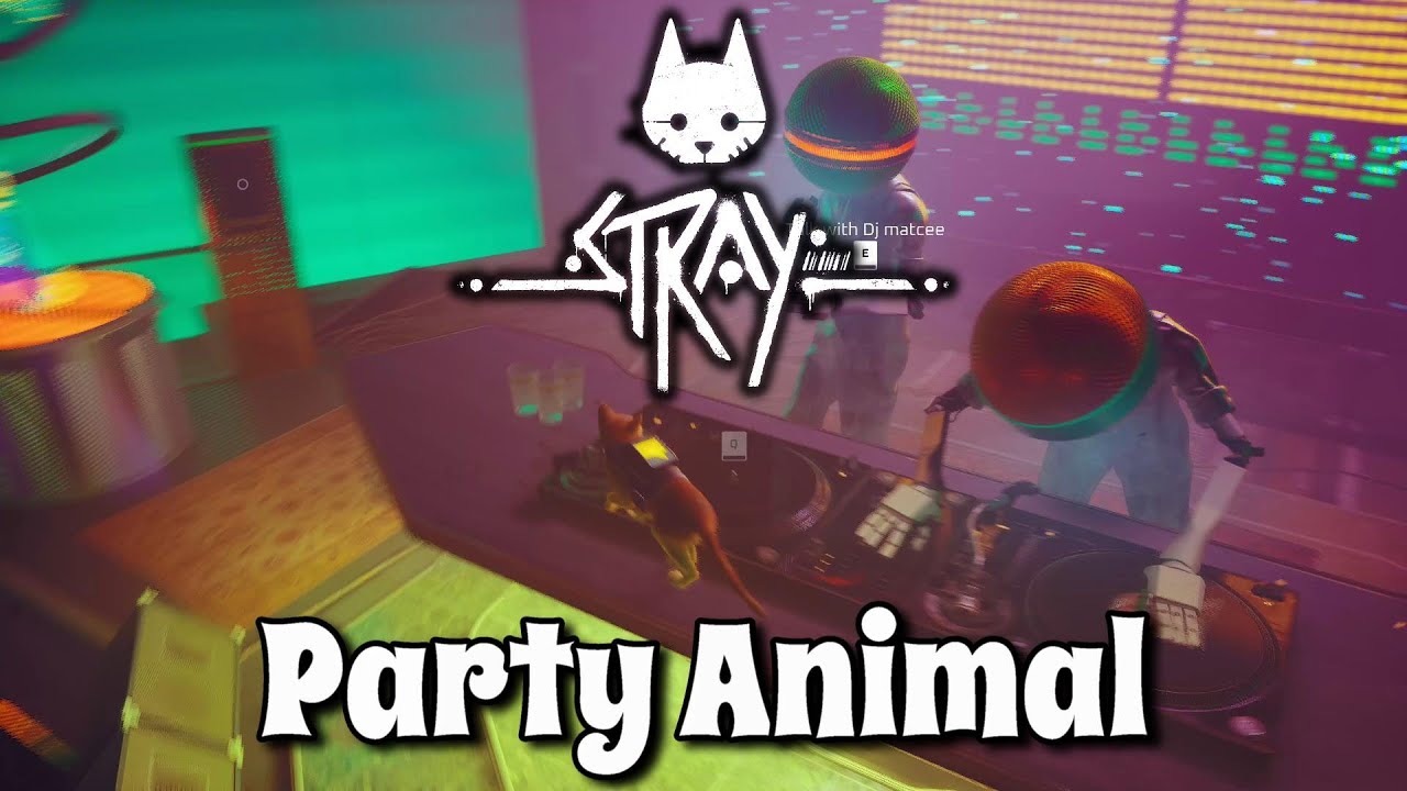Stray - Party Animal - YouTube