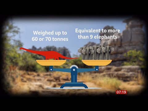 The titanosaur, Patagotitan mayorum fossil and discussion here (Global)