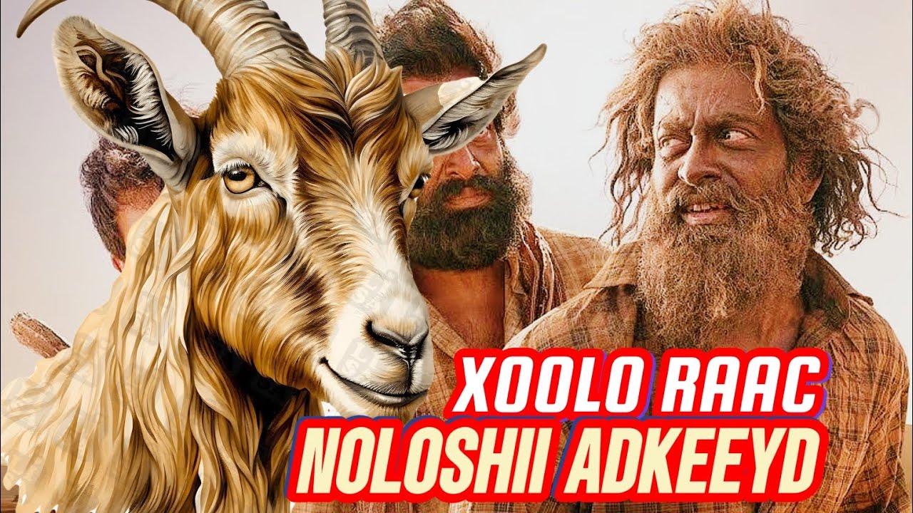 Xoolo Raacnimo | Noloshii adkeeyd | Filim ka xanaajiyay Sacuudiga - YouTube