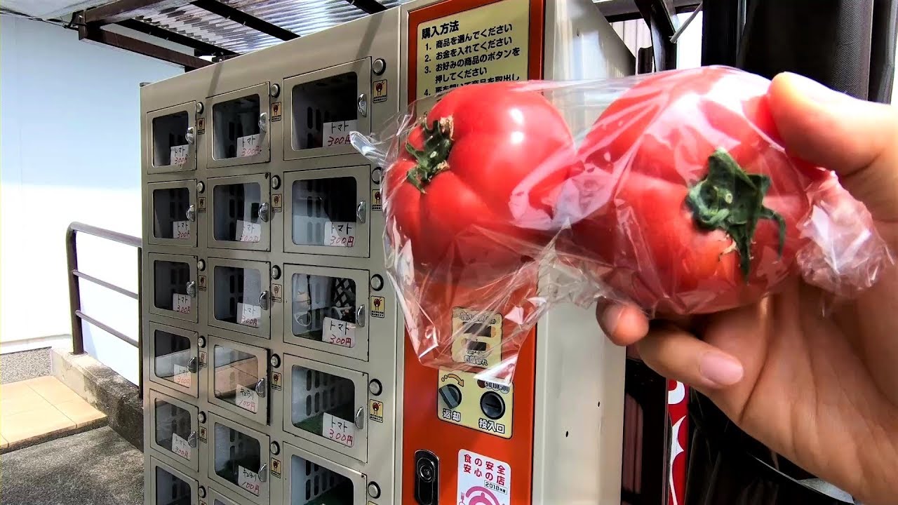 Vegetable Vending Machine - YouTube