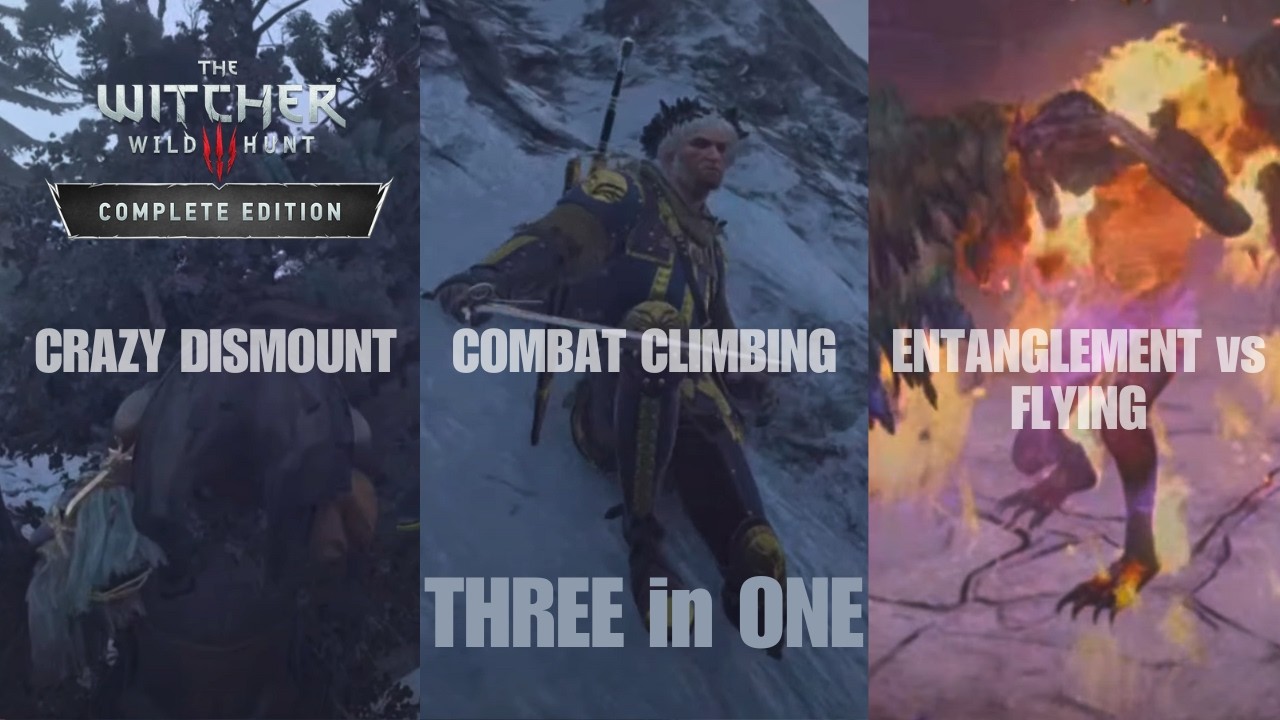 Witcher 3: Wildest Dismount + Combat Climbing + Entanglement = Fun ...