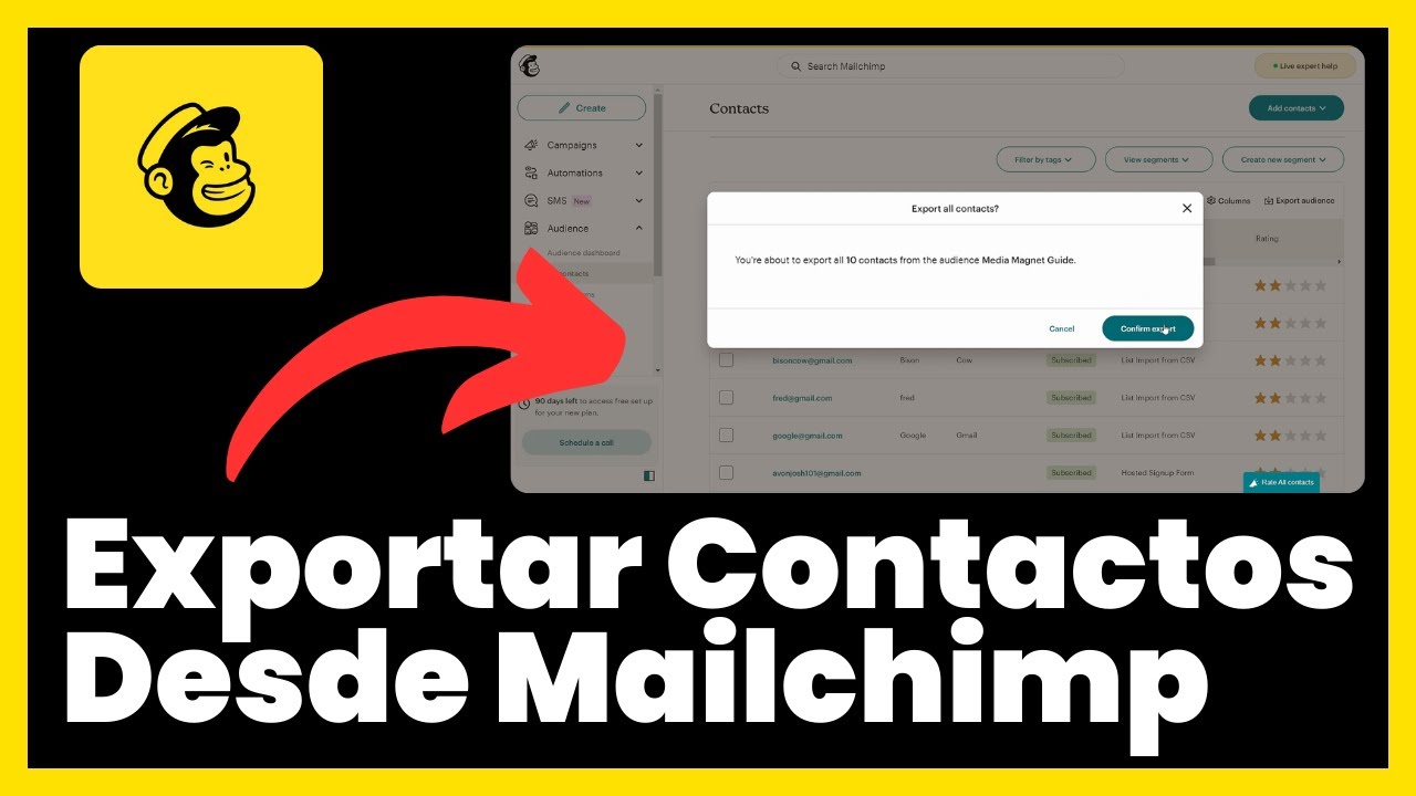 Cómo Exportar Contactos de Mailchimp - YouTube