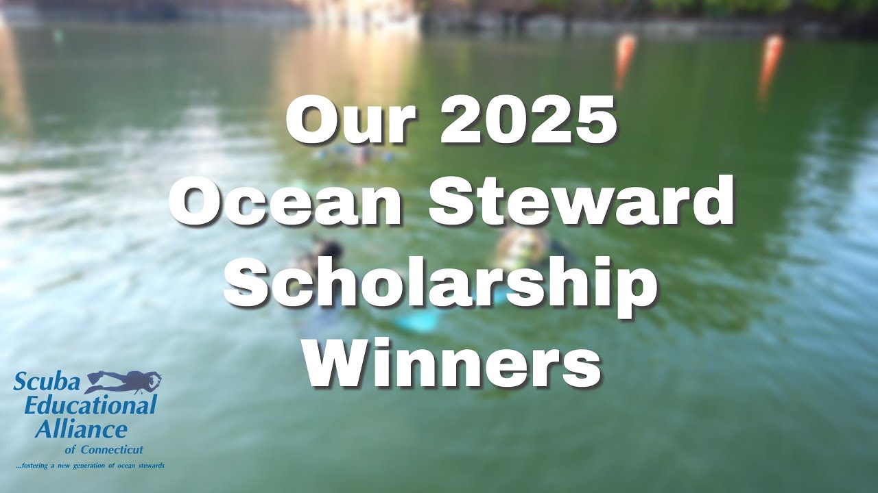 Announcing our 2025 Ocean Steward Scholarship Winners - YouTube