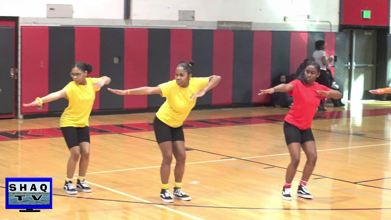 North Farmington High School Step Team PT.2 @ Oak Park 4TH Annual Step ...