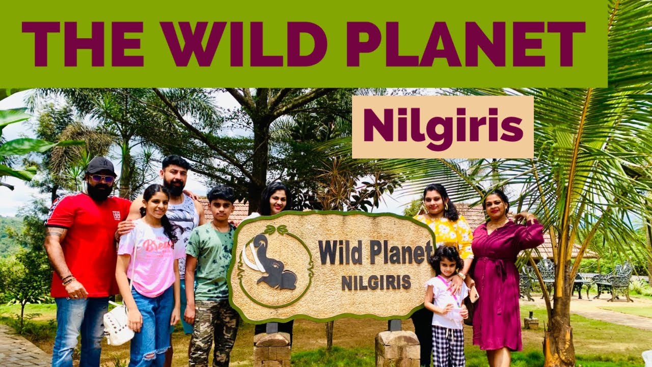 Wild Planet || Luxury Jungle Resort || Nilgiris || Devala || Hotel ...