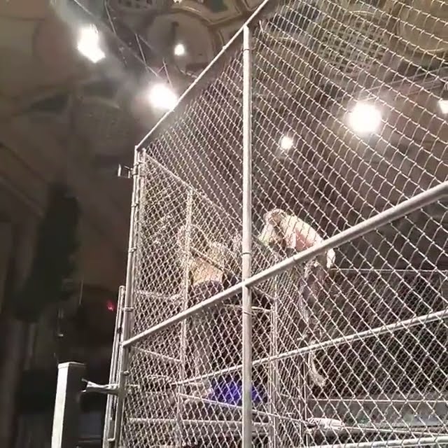 TNA || LockDown 2015: Jeff Hardy Crazy Bump - Cage Match - YouTube