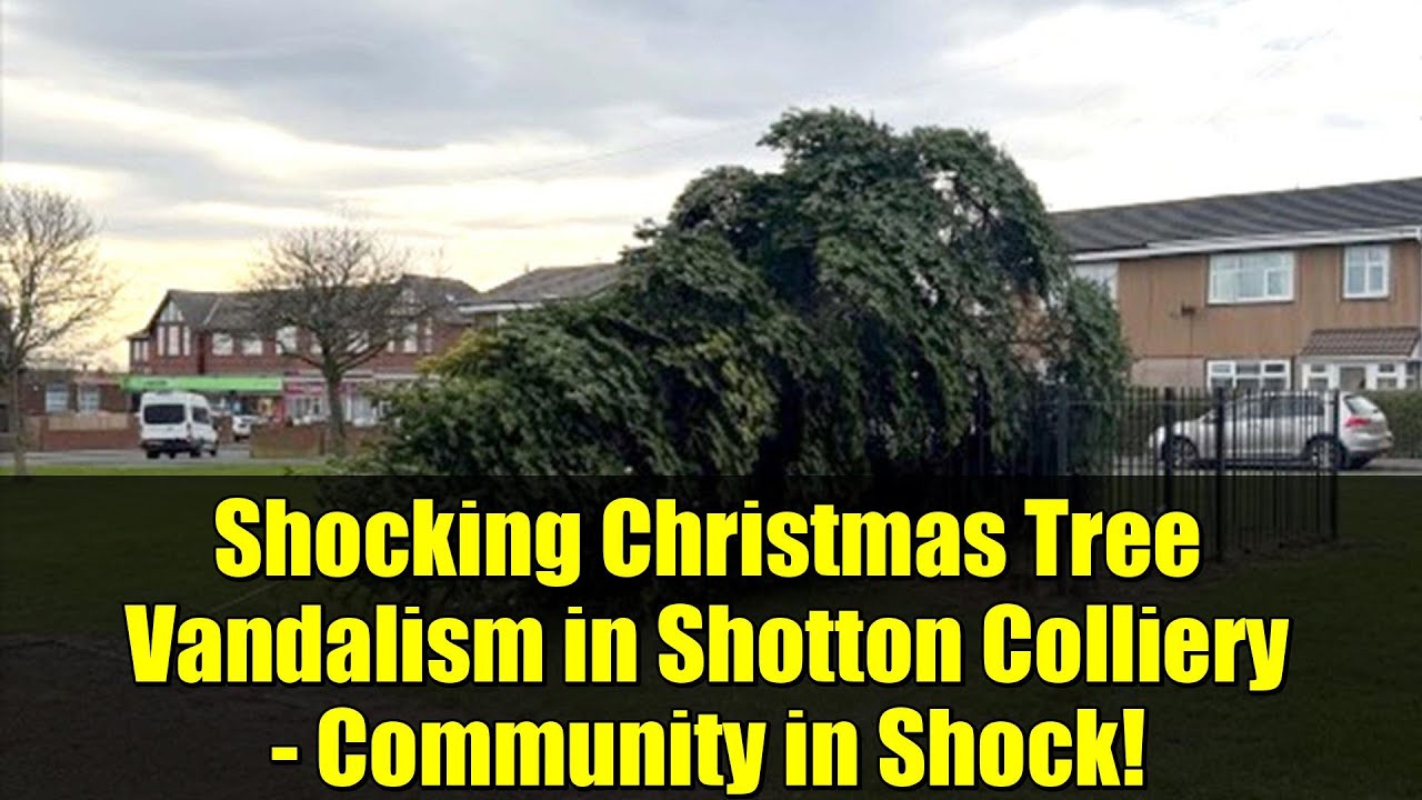 Shocking Christmas Tree Vandalism in Shotton Colliery - Community in ...