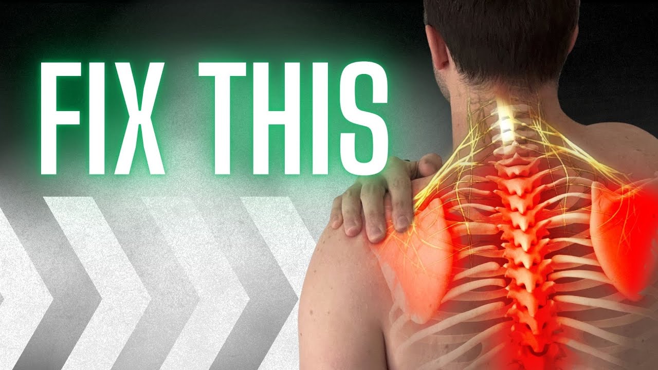 3 Step System to Reduce Shoulder Pain - YouTube