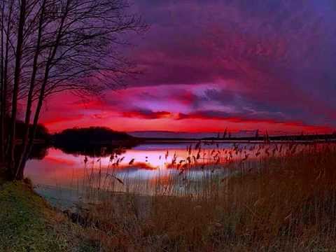 LOVE WITHOUT TIME - (Lyrics) - YouTube