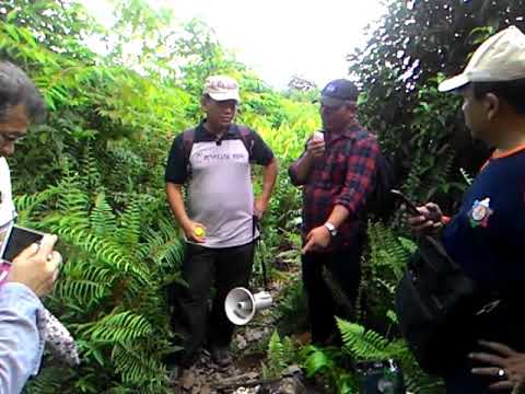 Pengukur subsidence gambut - YouTube