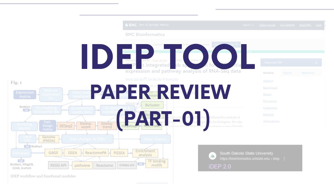 iDEP Tutorial Part-1 | Research Paper Review | Gene Expression ...