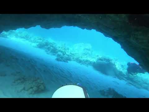 DPV CHRONICLES: Paniau Edition - YouTube