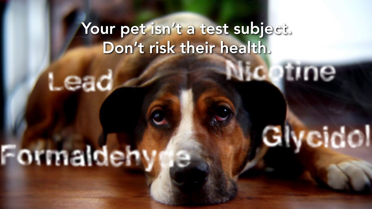 Vaping; second-Hand Aerosol - YouTube