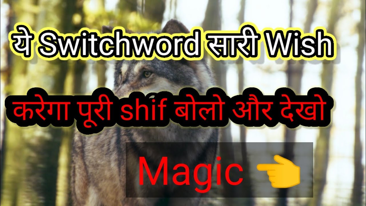 How to call Wolf 🐺 |Urgent Wishfulfillment Magic Switchword |Wolf Magic ...