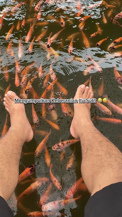 Mau ngumpulin orang yang takut terapi ikan 😭 #komedi #terapiikan - YouTube