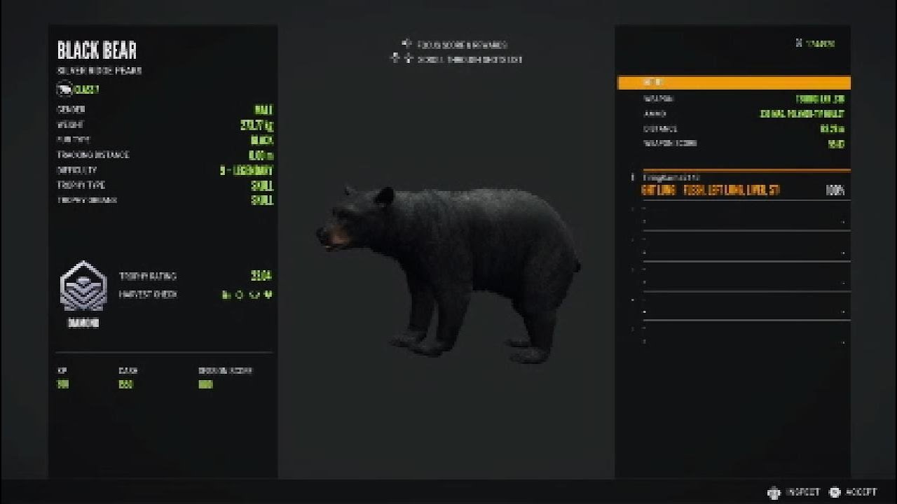 theHunter COTW PS5 Diamonds and Rares #21 - YouTube