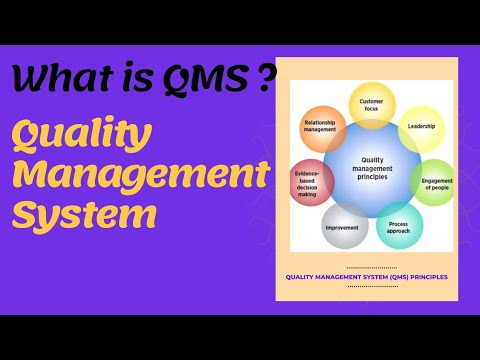 Benefits of quality management system?What are the 7 principles of QMS ...